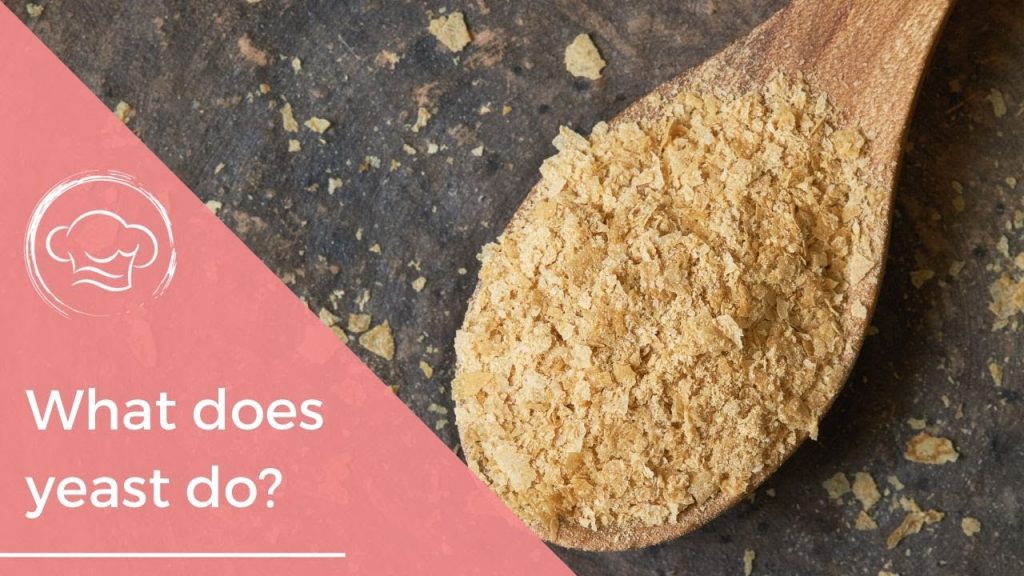 What does Yeast do in Bread? | The Online Pastry School